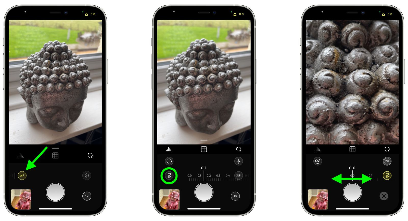 How to Shoot Macro Photography on iPhone 12 and Earlier Models - MacRumors