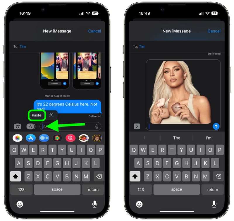 iOS 16: How to Lift Subjects From Images on the Web - MacRumors