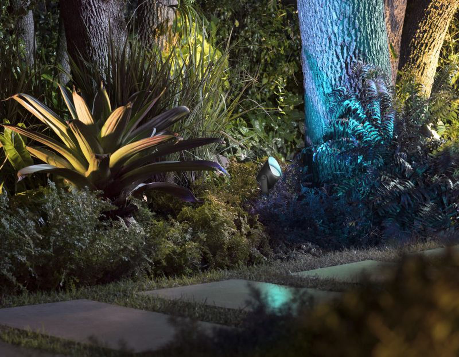 CES 2020: Philips Hue Line Gaining New Outdoor Lights and HDMI Sync Box ...