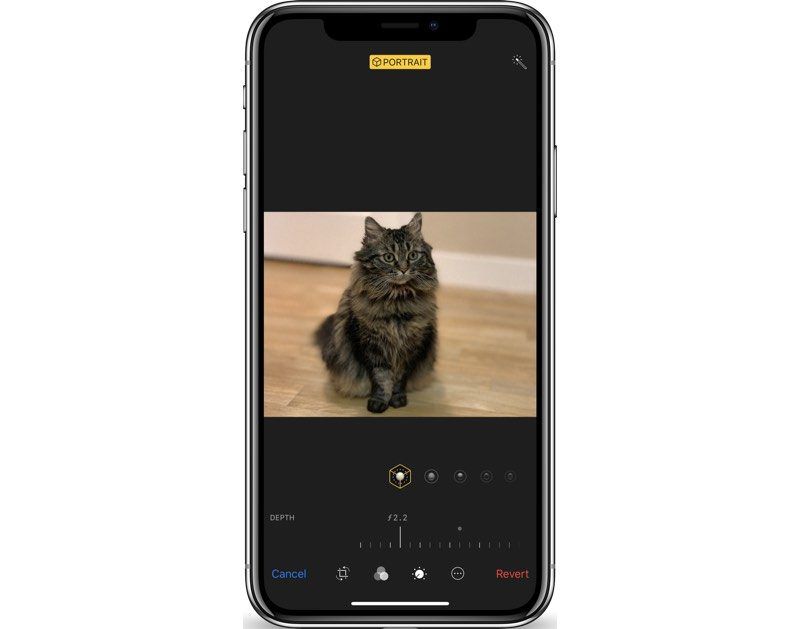 Hands-On With the New Depth Control Feature in iPhone XS and XS Max ...