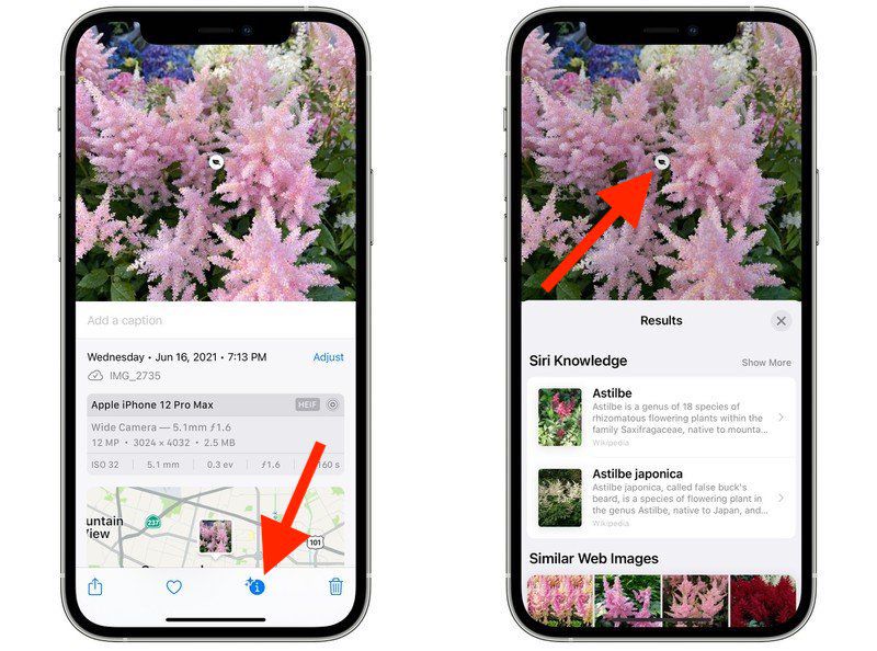 iOS 15: How to Use Visual Lookup in Photos to Identify Landmarks ...