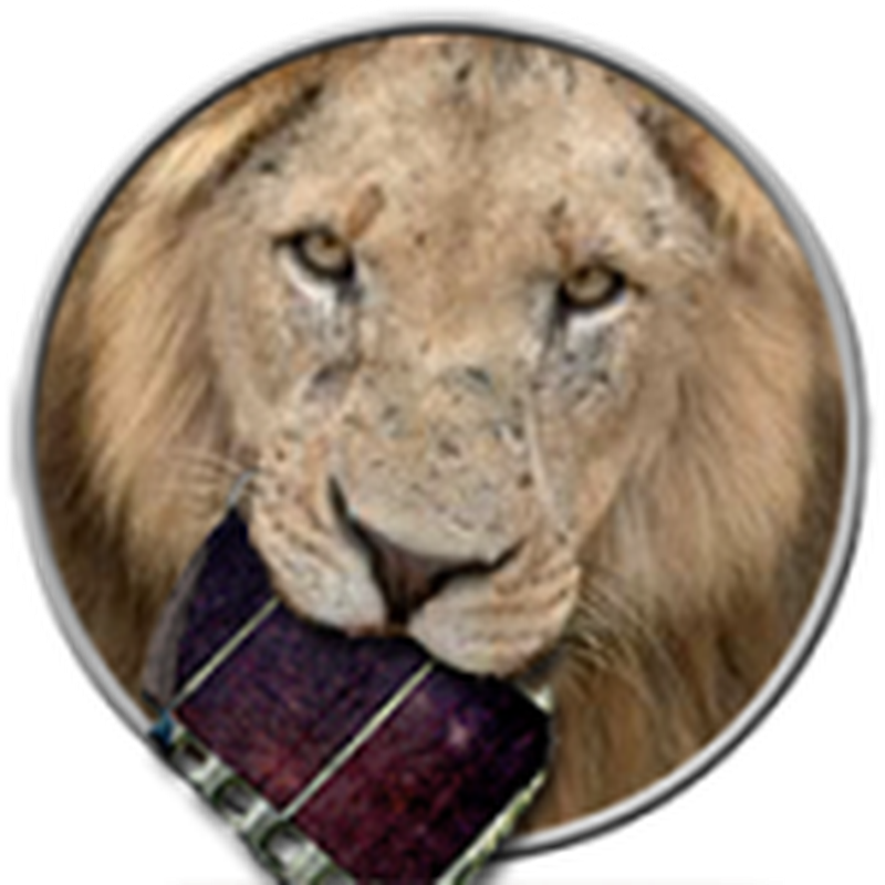 Techspansion Releases Free Official Lion Update for VisualHub - MacRumors