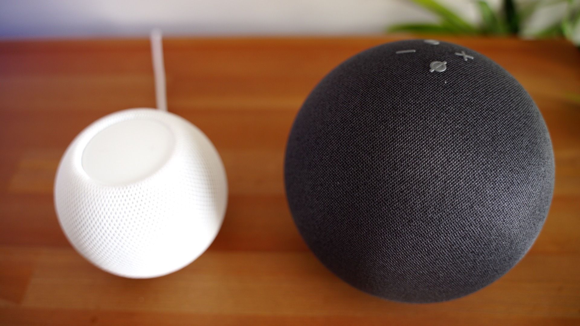 $99 Speaker Showdown: HomePod Mini vs. Amazon Echo and Google Nest ...