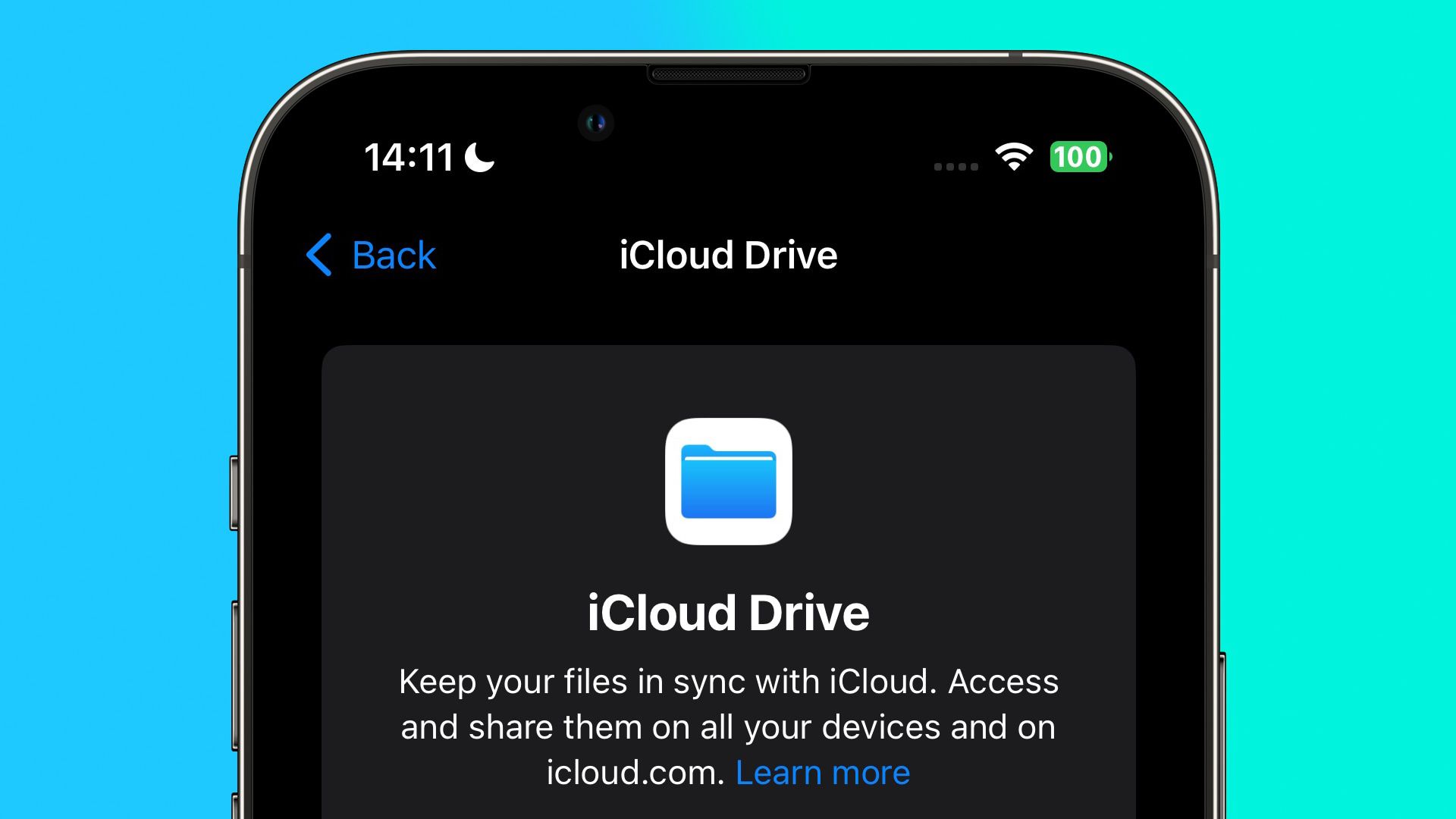 PSA: Disabling iCloud Drive in iOS 17 No Longer Turns Off Third-Party App CloudKit Syncing ...