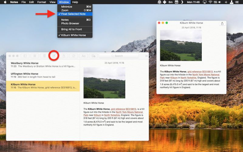 How to Float Notes Over Application Windows in macOS - MacRumors