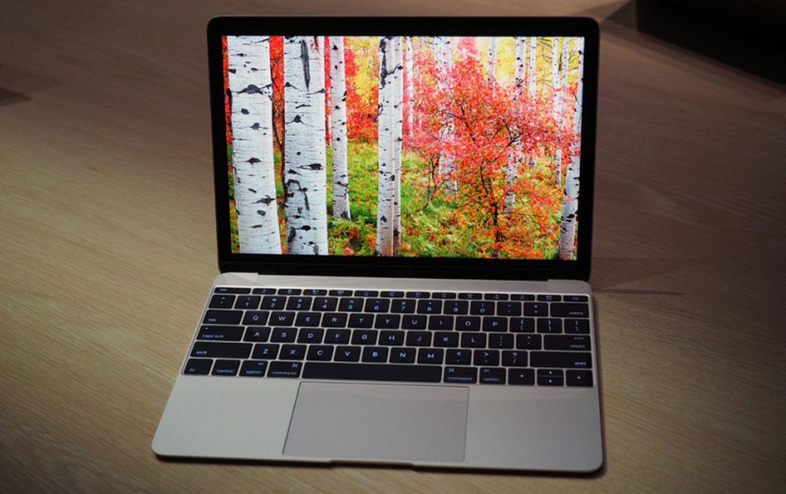 First Impressions of New 12-Inch MacBook: Ridiculously Light, but Thin ...