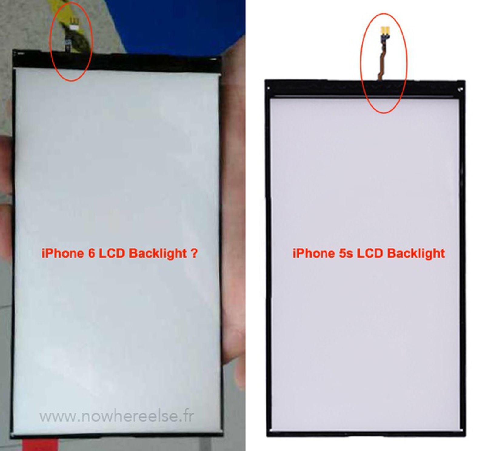 Alleged iPhone 6 Backlight Panel Depicted in New Photos - MacRumors