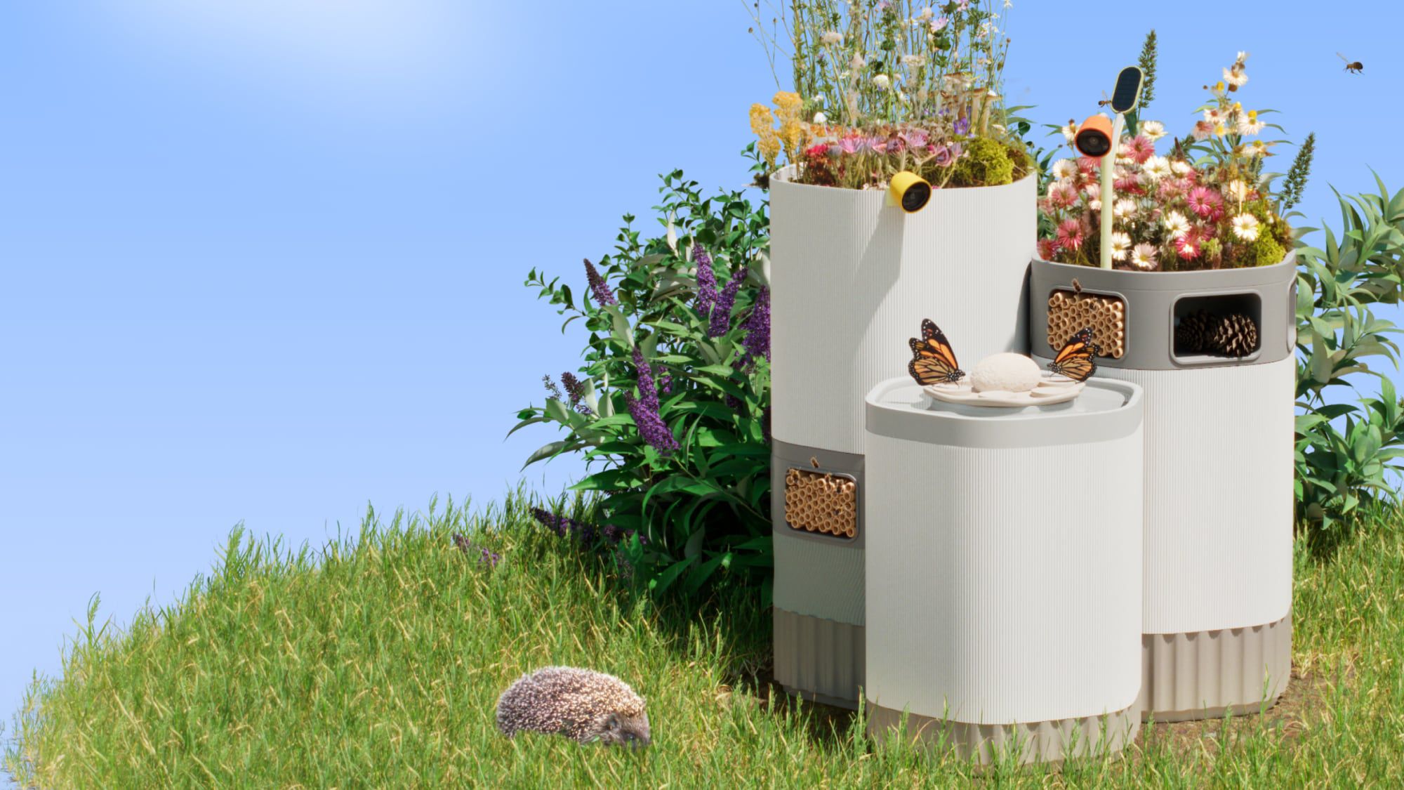 Bird Buddy Launches 'Wonder' Camera for Watching Insects - MacRumors
