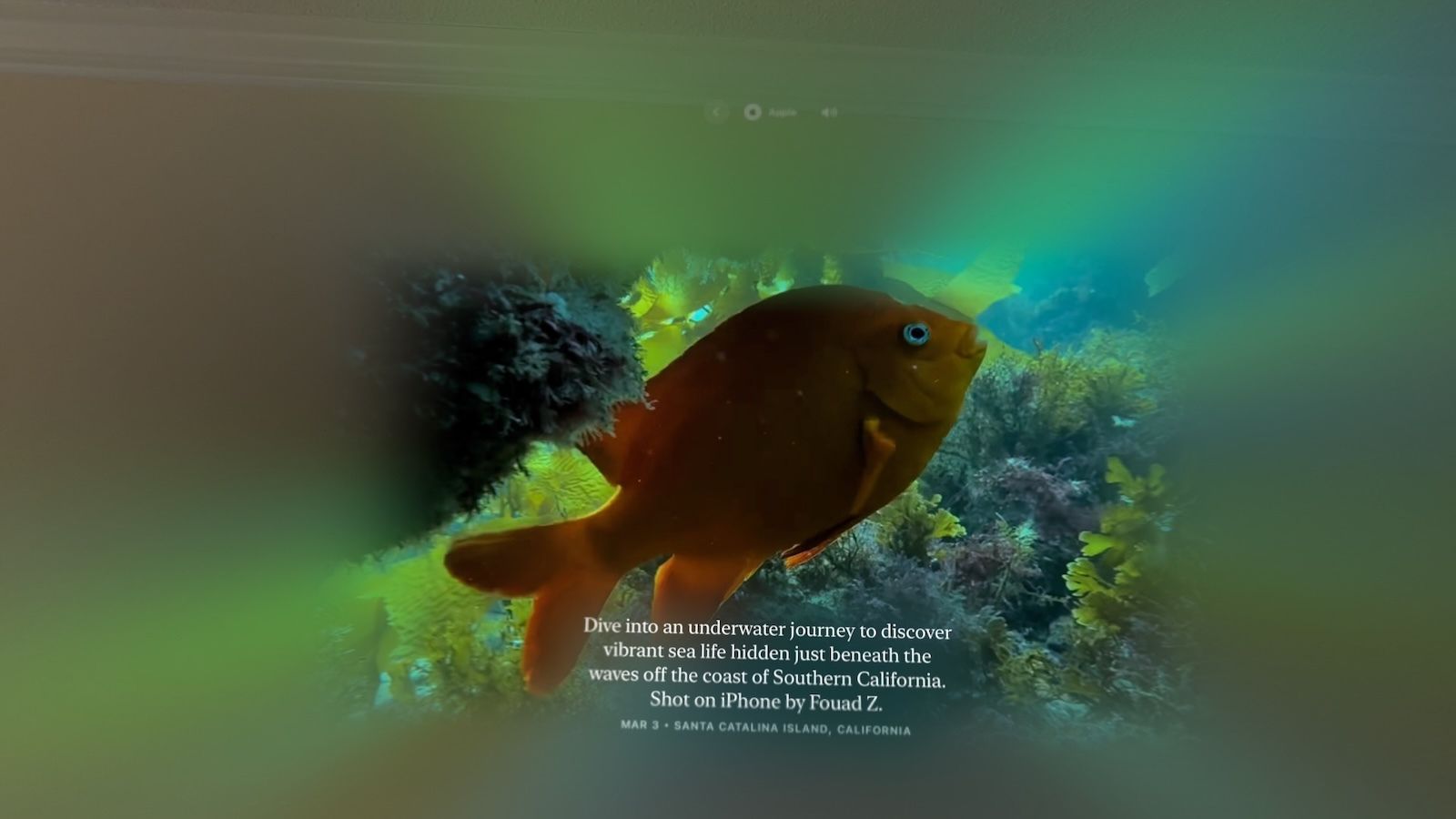 Vision Pro Spatial Gallery Launches in visionOS 2.4 Beta 2 - MacRumors