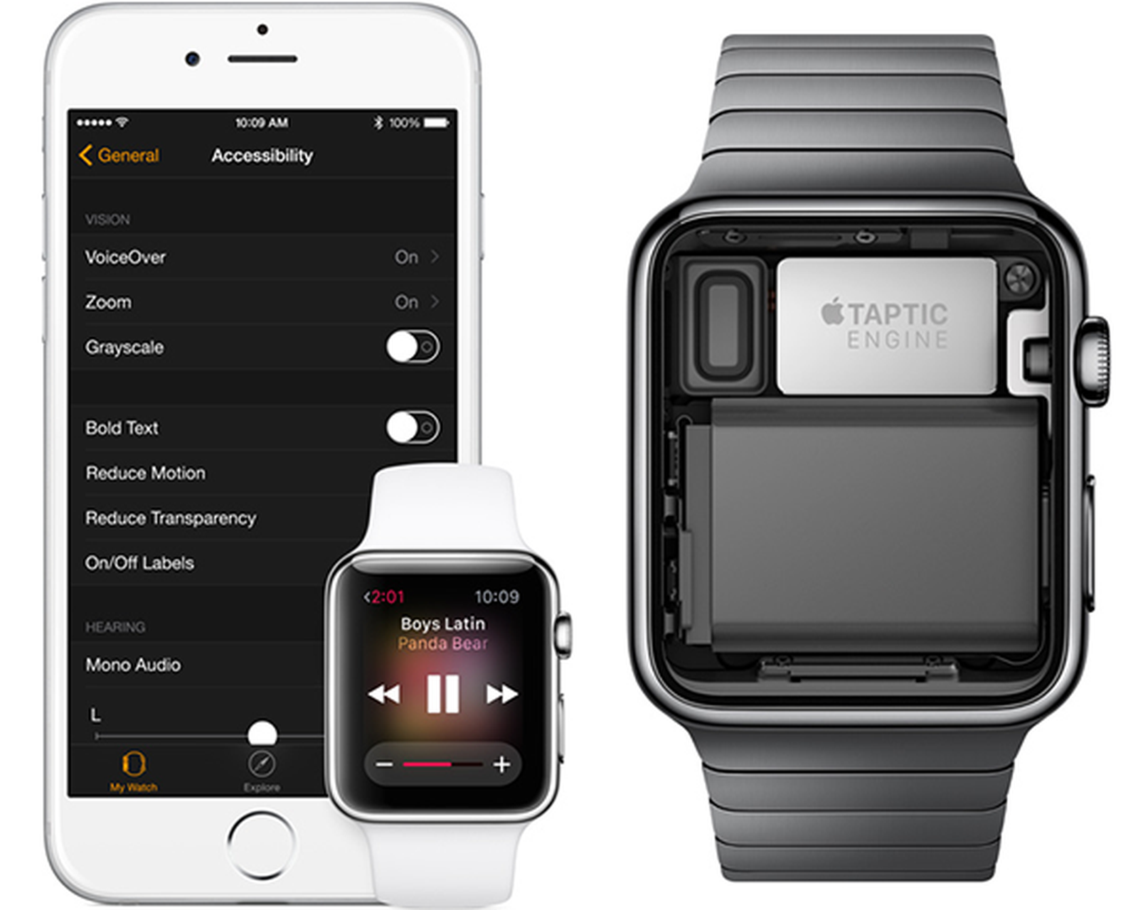 Apple Watch Accessibility Features: VoiceOver, Mono Audio, Grayscale ...