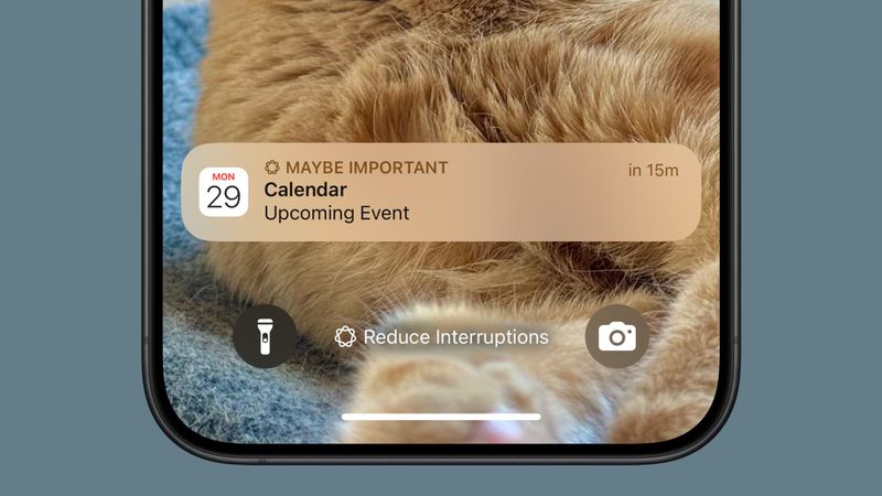 iOS 18.1: Use the New Reduce Interruptions Focus - MacRumors