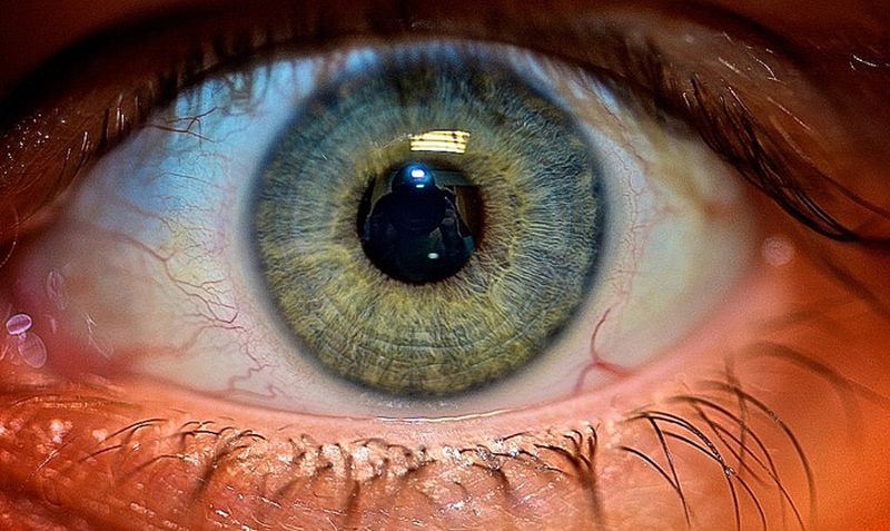Iris Scanning: The Newest Addition to Apple's Biometric Roadmap ...