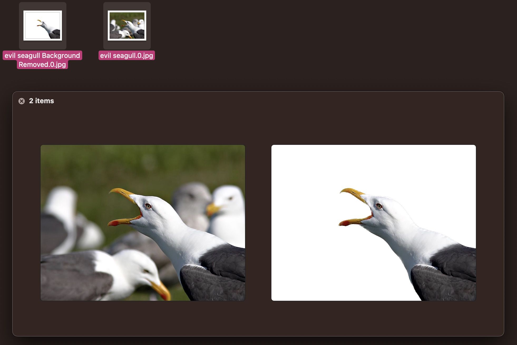 macOS: How to Remove the Background from an Image - MacRumors