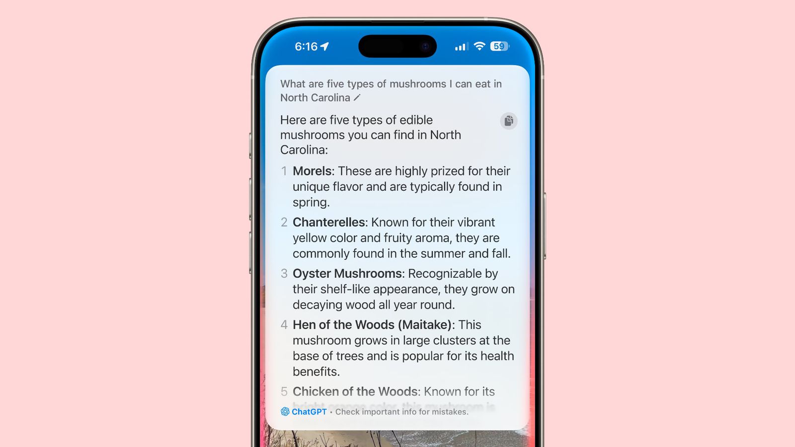 Everything Your iPhone Can Do With ChatGPT - MacRumors