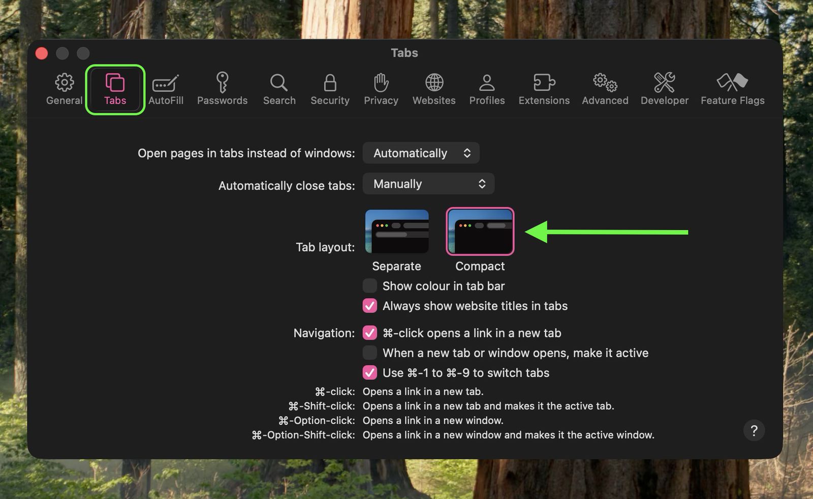 Safari's Compact Tab Bar Is Back on Mac and iPad - MacRumors