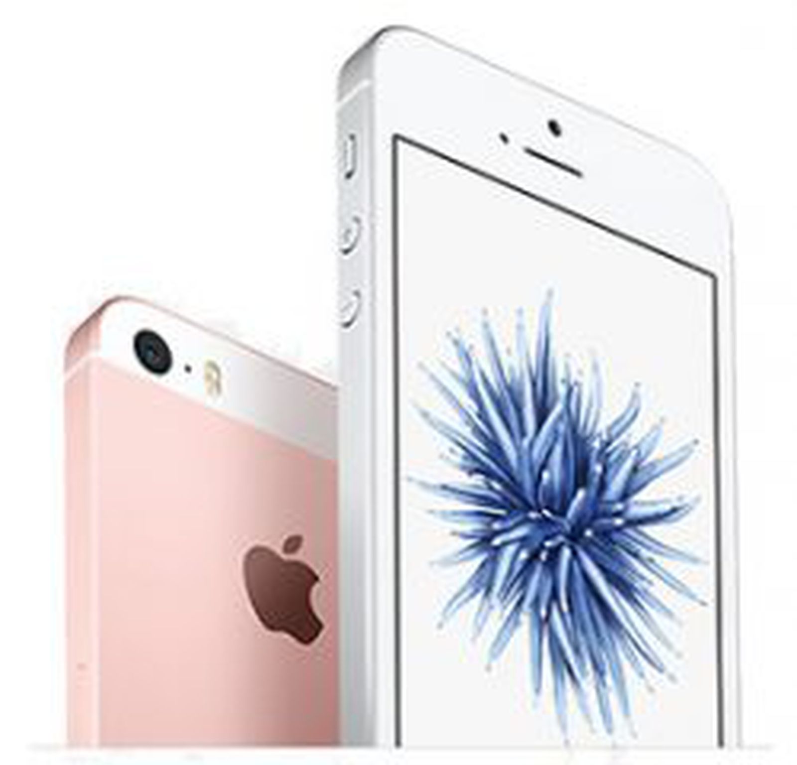 Apple Registers Several New Unreleased iPhone Models in Eurasia Ahead ...