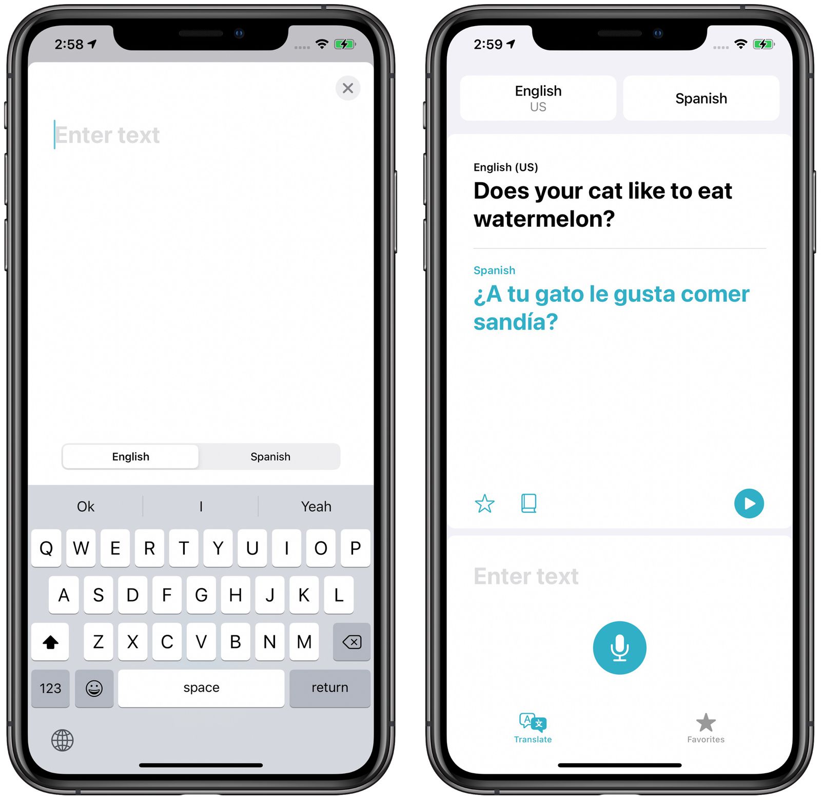 iOS 14: Apple's Built-In iPhone Translate App That Works With 11 ...