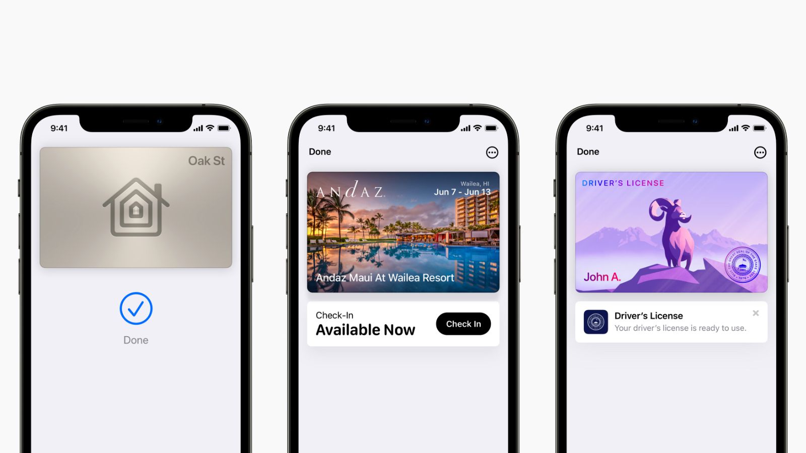 iOS 15: New Features - Everything You Need to Know