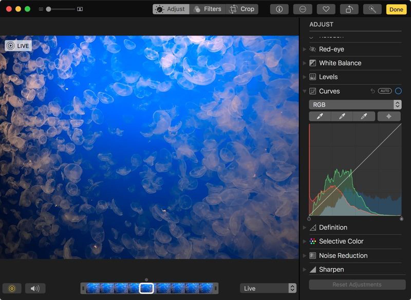 What You Need to Know About HEIF in macOS - MacRumors