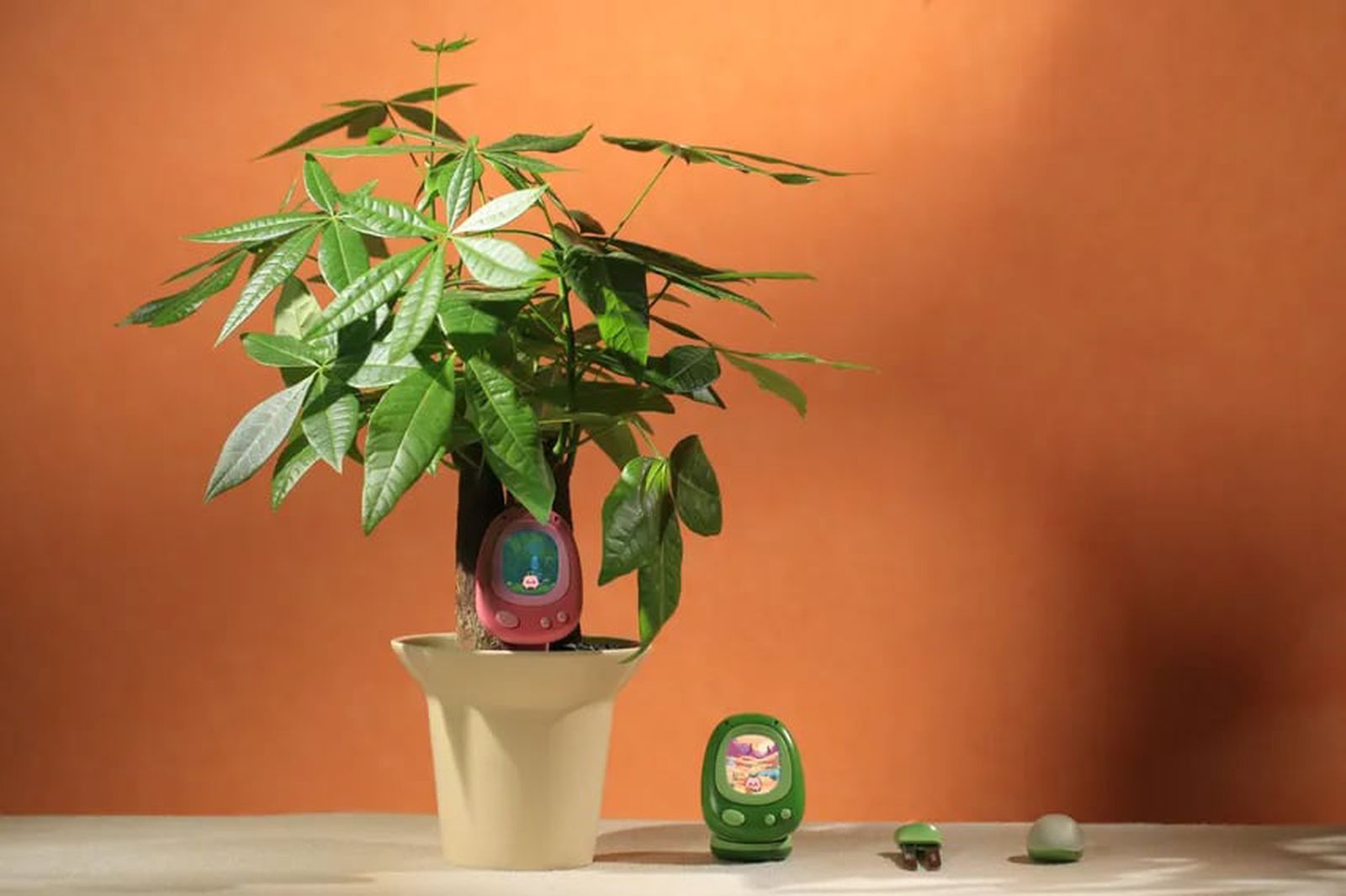 CES 2026: Senso Is a Smart Plant Sensor With an AI Tamagotchi - MacRumors