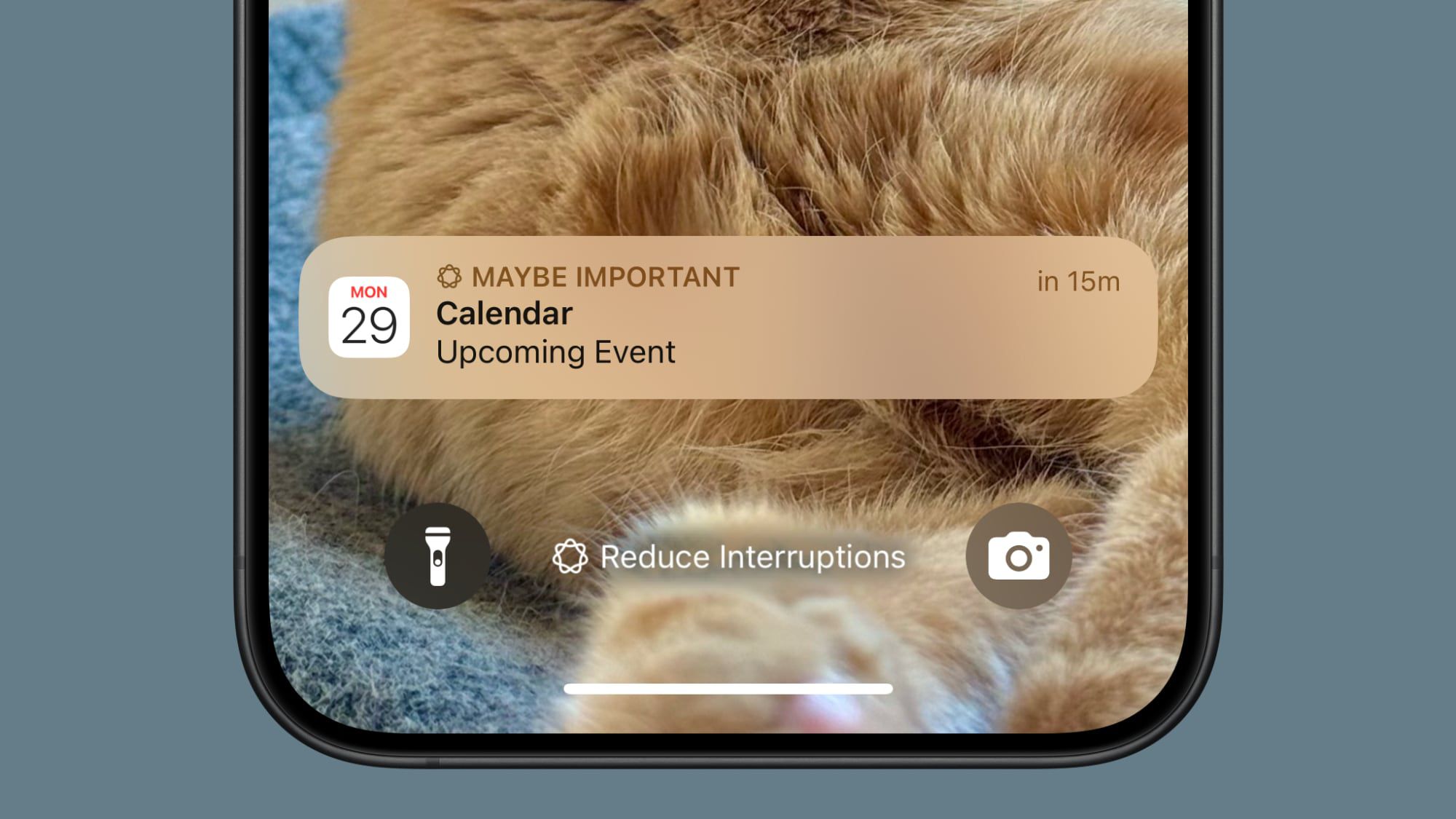 iOS 18.1: Use the New Reduce Interruptions Focus - MacRumors