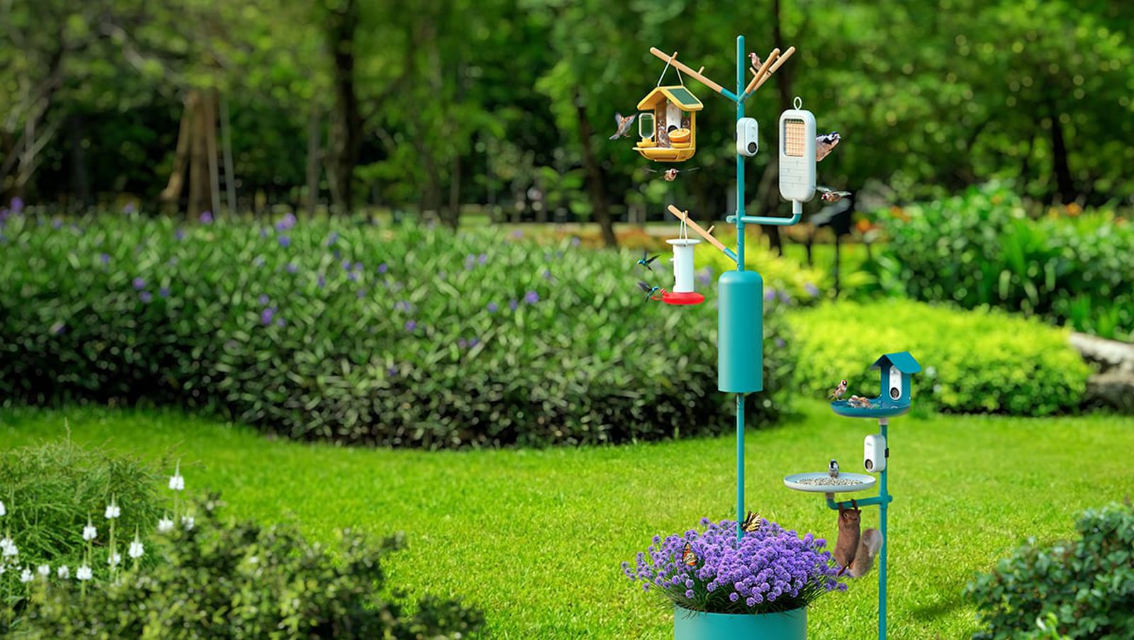 Bird Buddy Hummingbird Feeder Pro Review - MacRumors