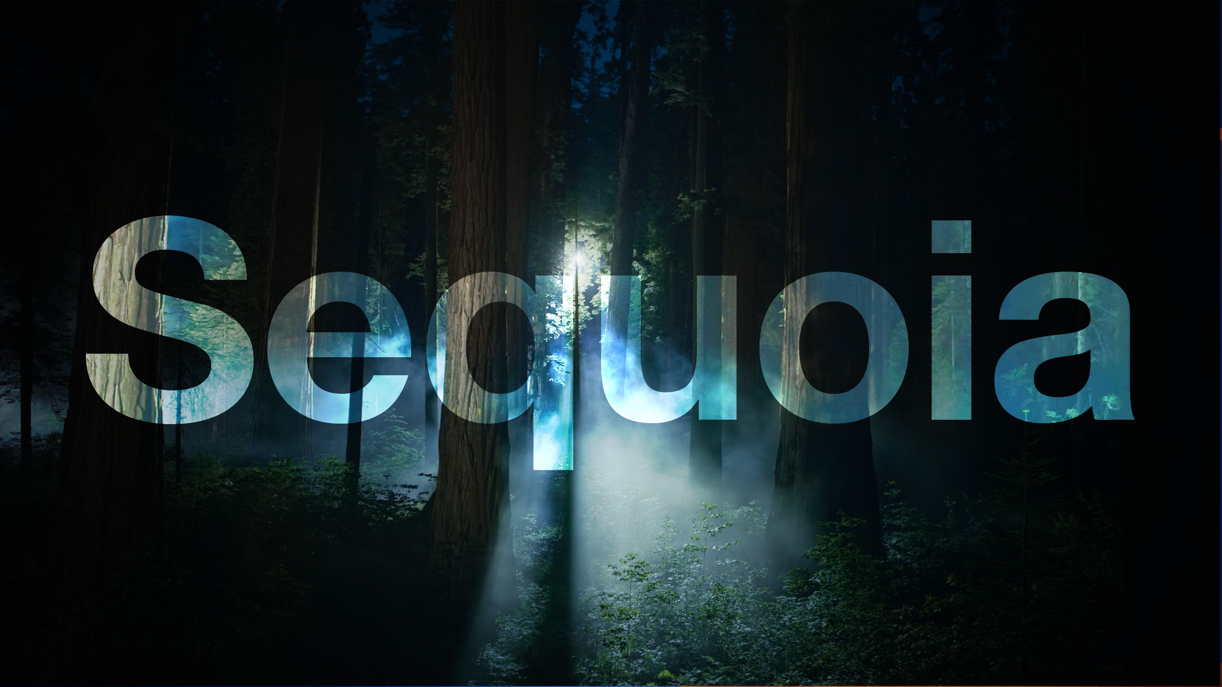 Apple Launches Macos Sequoia With Iphone Mirroring Passwords App Window Tiling Updates And