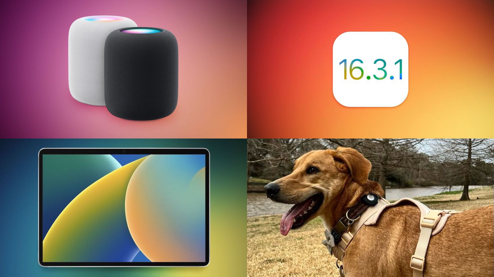 Top Stories: New HomePod Launches, iOS 16.3.1 Coming Soon, and More - MacRumors