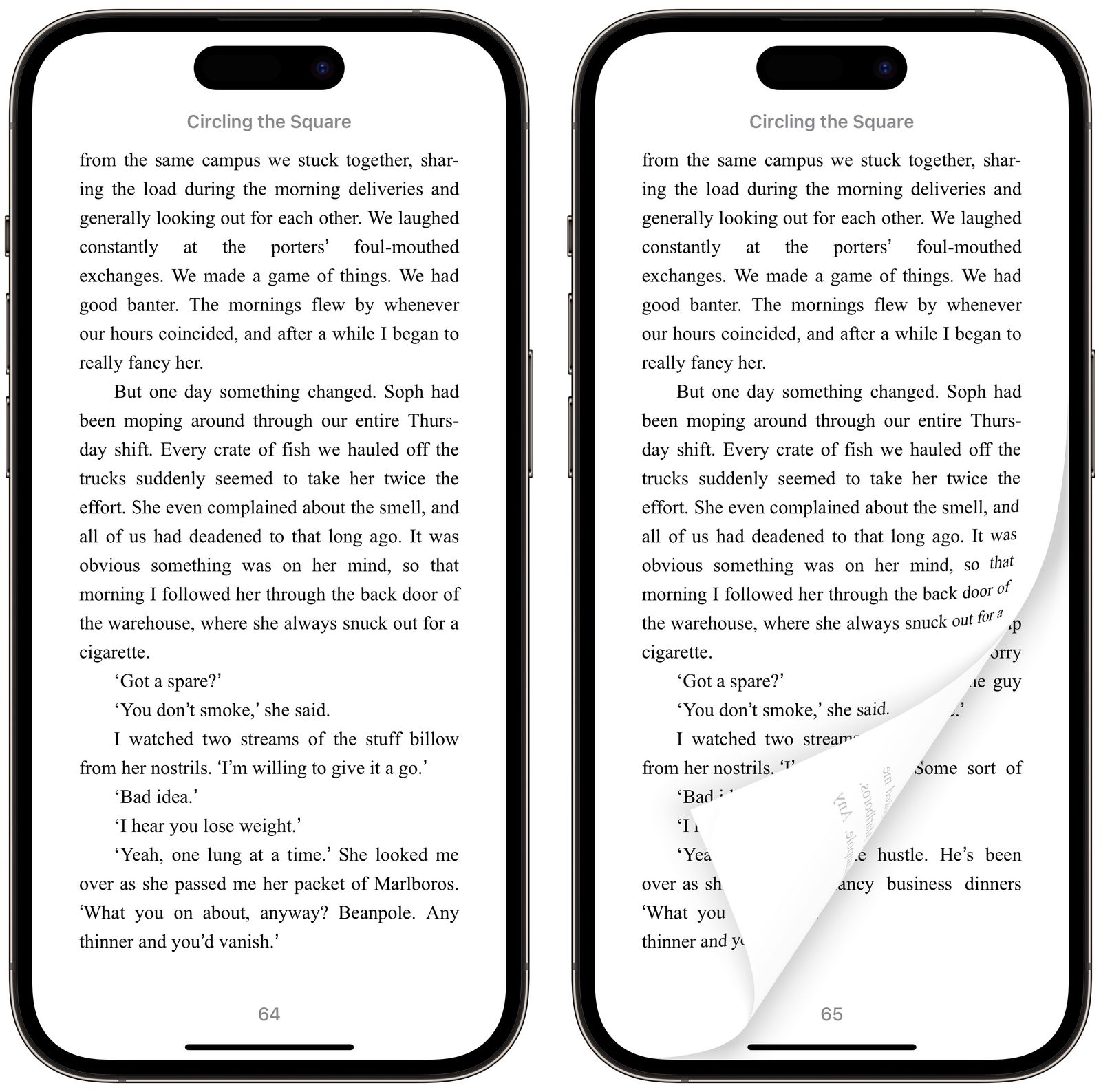 How to Re-Enable the Classic Page Turning Animation in Apple Books ...