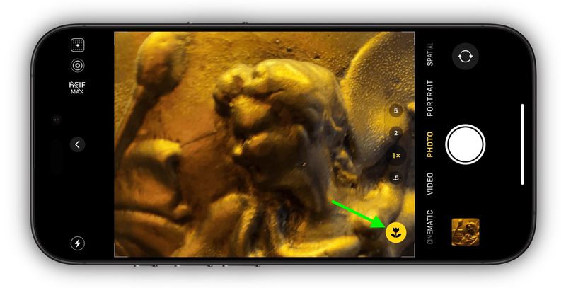 iPhone 16: How to Shoot Macro Photography and Video - MacRumors