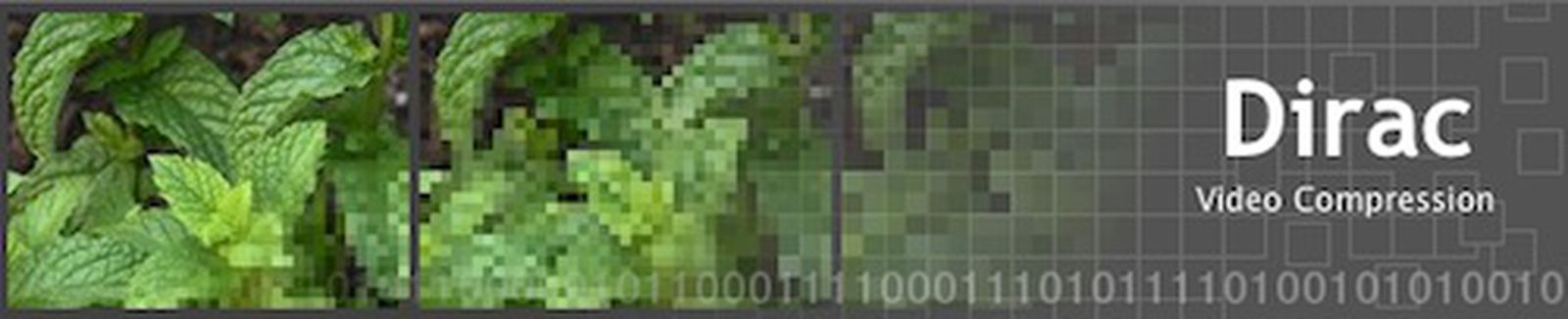 Apple Developing New High-End Video Codec? - MacRumors