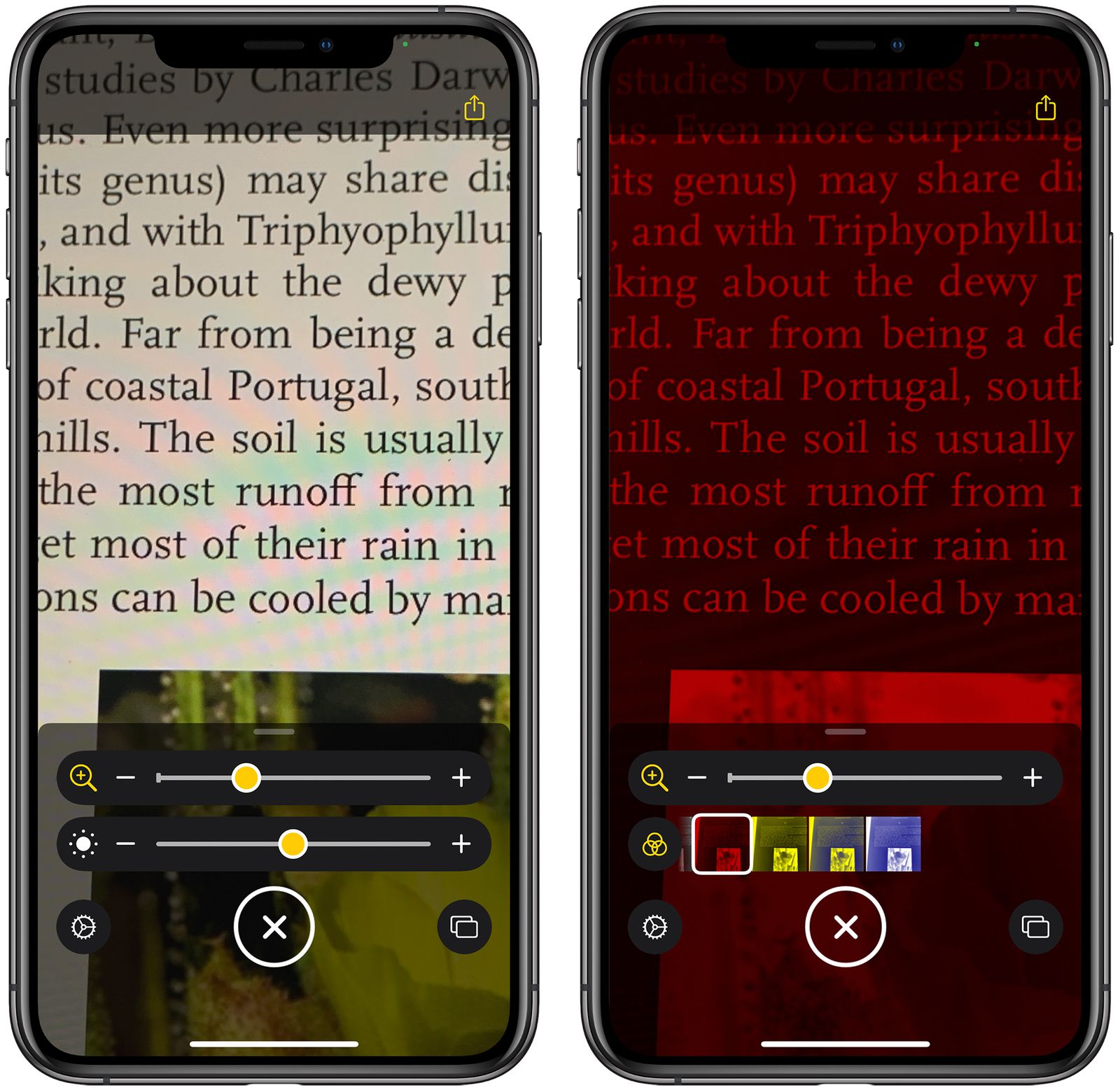 Magnifier in iOS 14 Gets Overhauled UI and New Features, Can Be Added ...