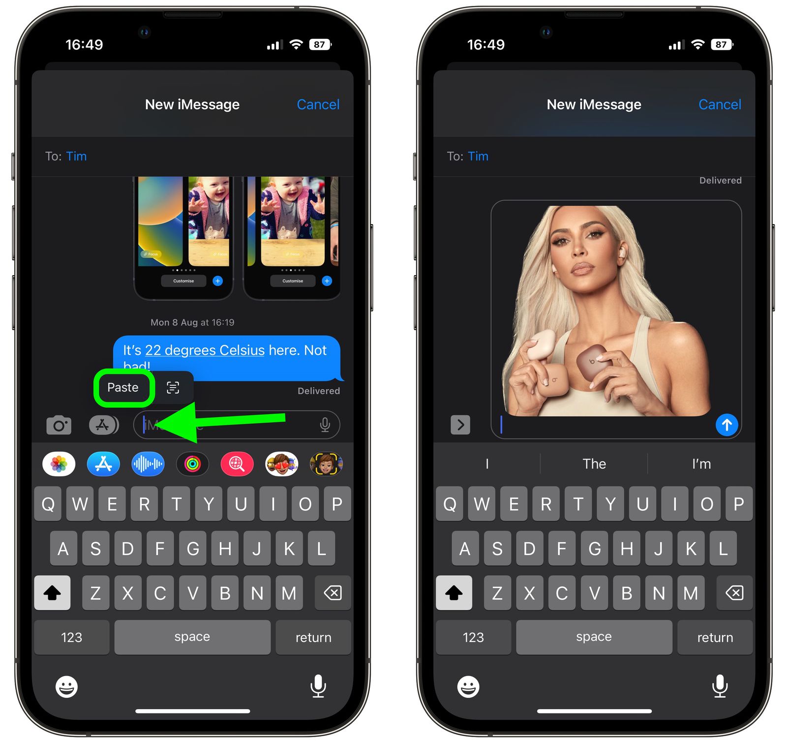 iOS 16: How to Lift Subjects From Images on the Web - MacRumors