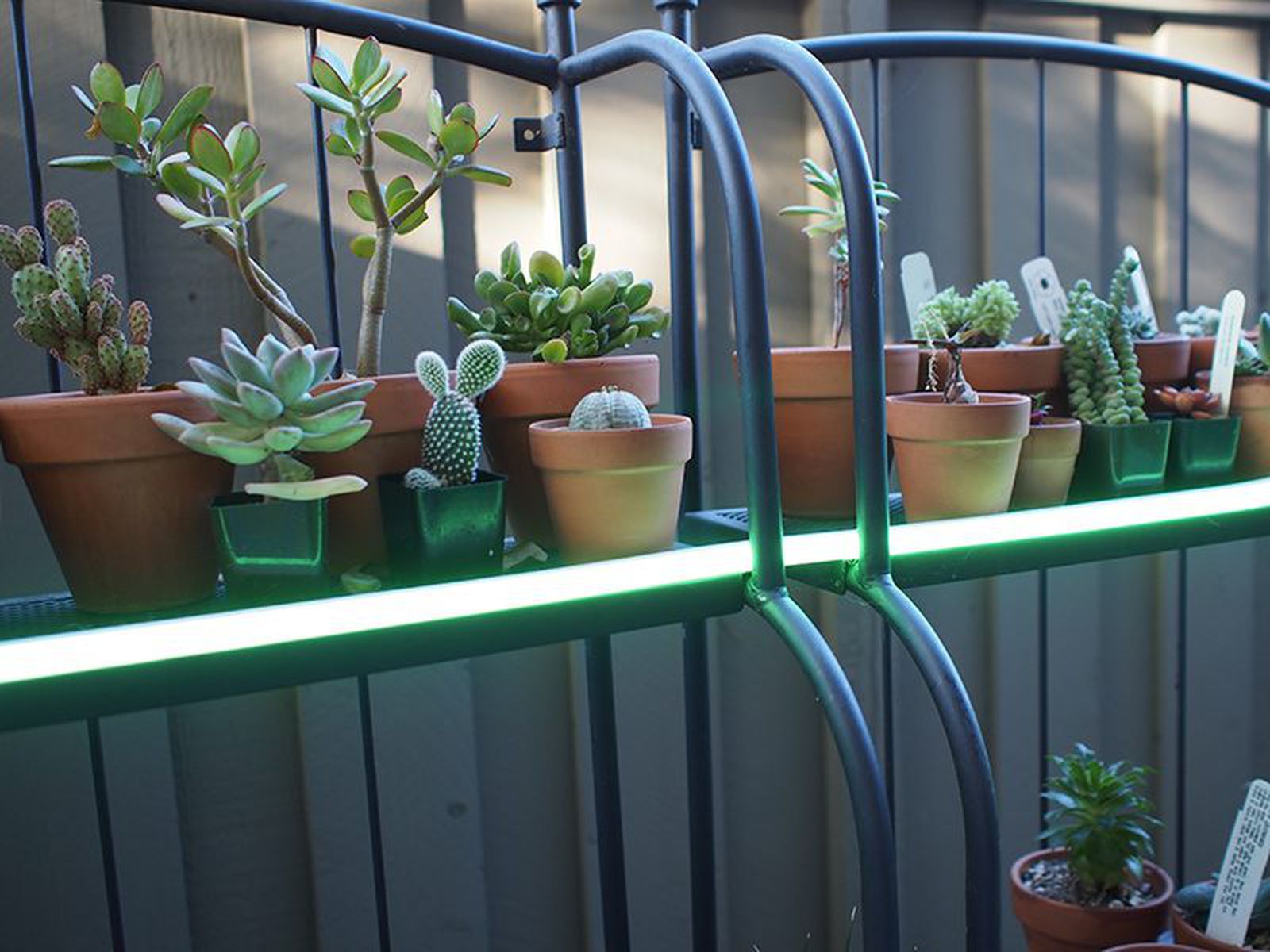 Philips Hue Outdoor Lightstrip Review - MacRumors