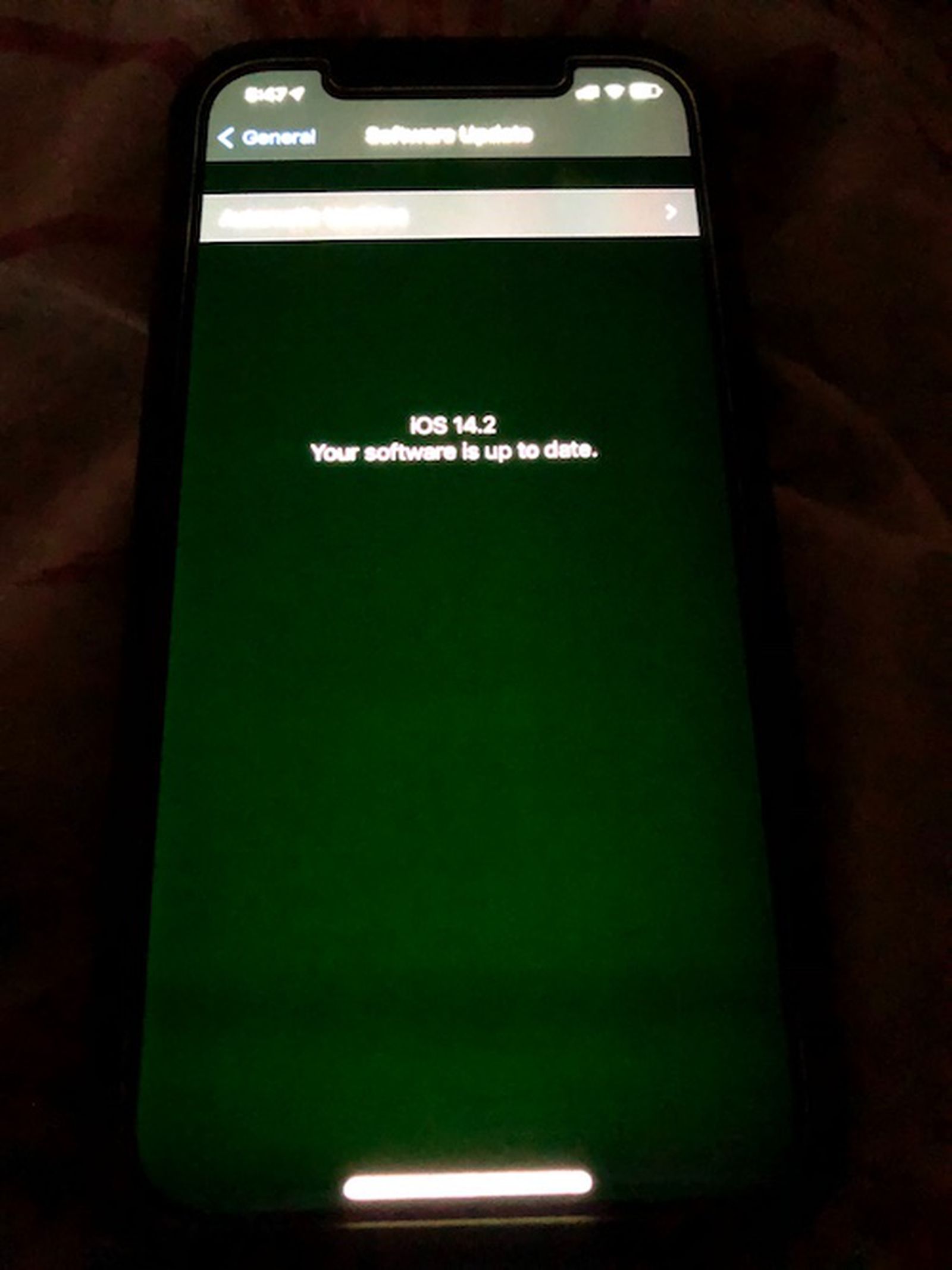 Apple Investigating Display Issues With iPhone 12 Models, Including ...