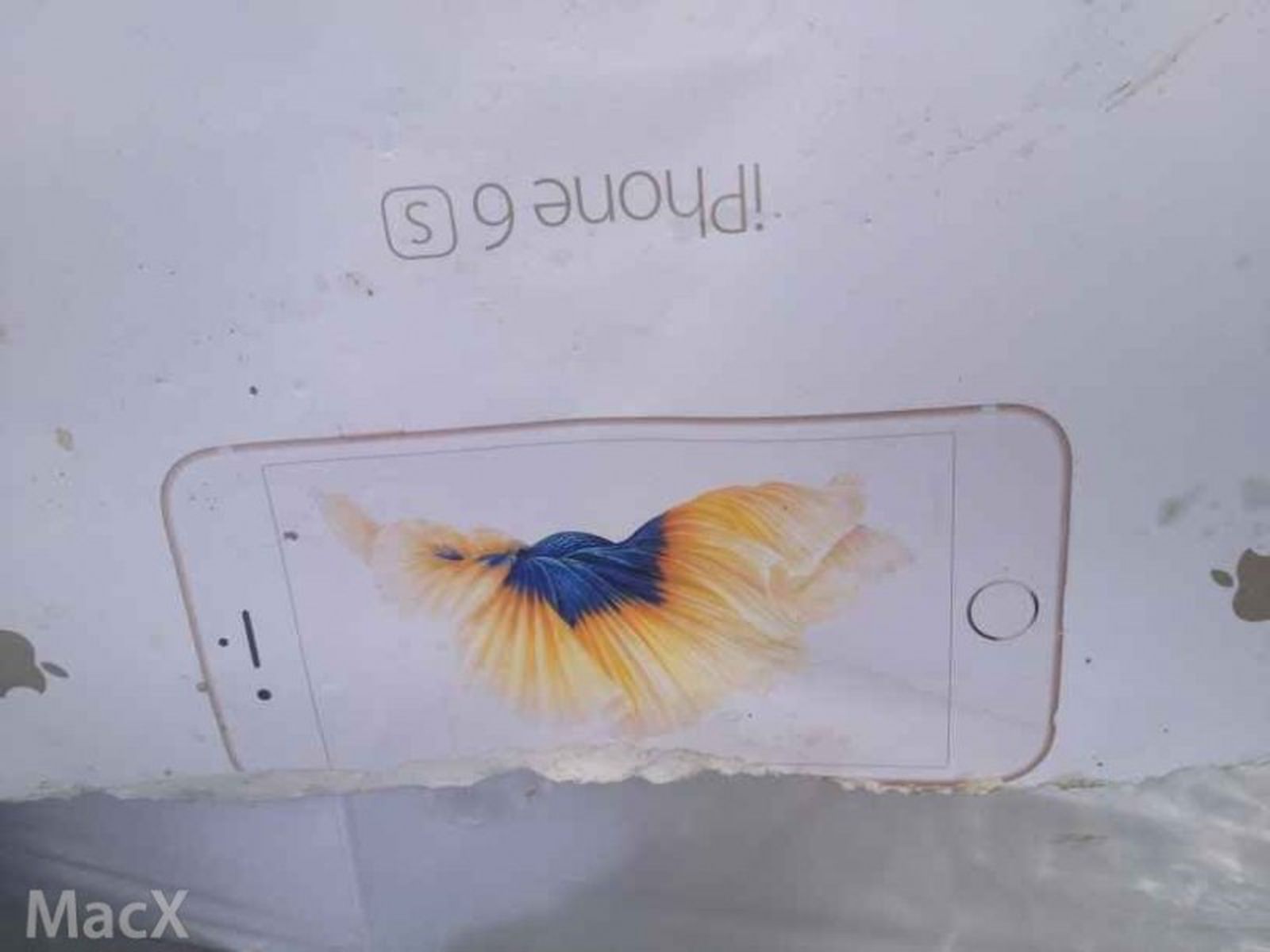 Claimed 'iPhone 6s' Box Appears Similar to 'iPhone 6s Plus' Packaging ...