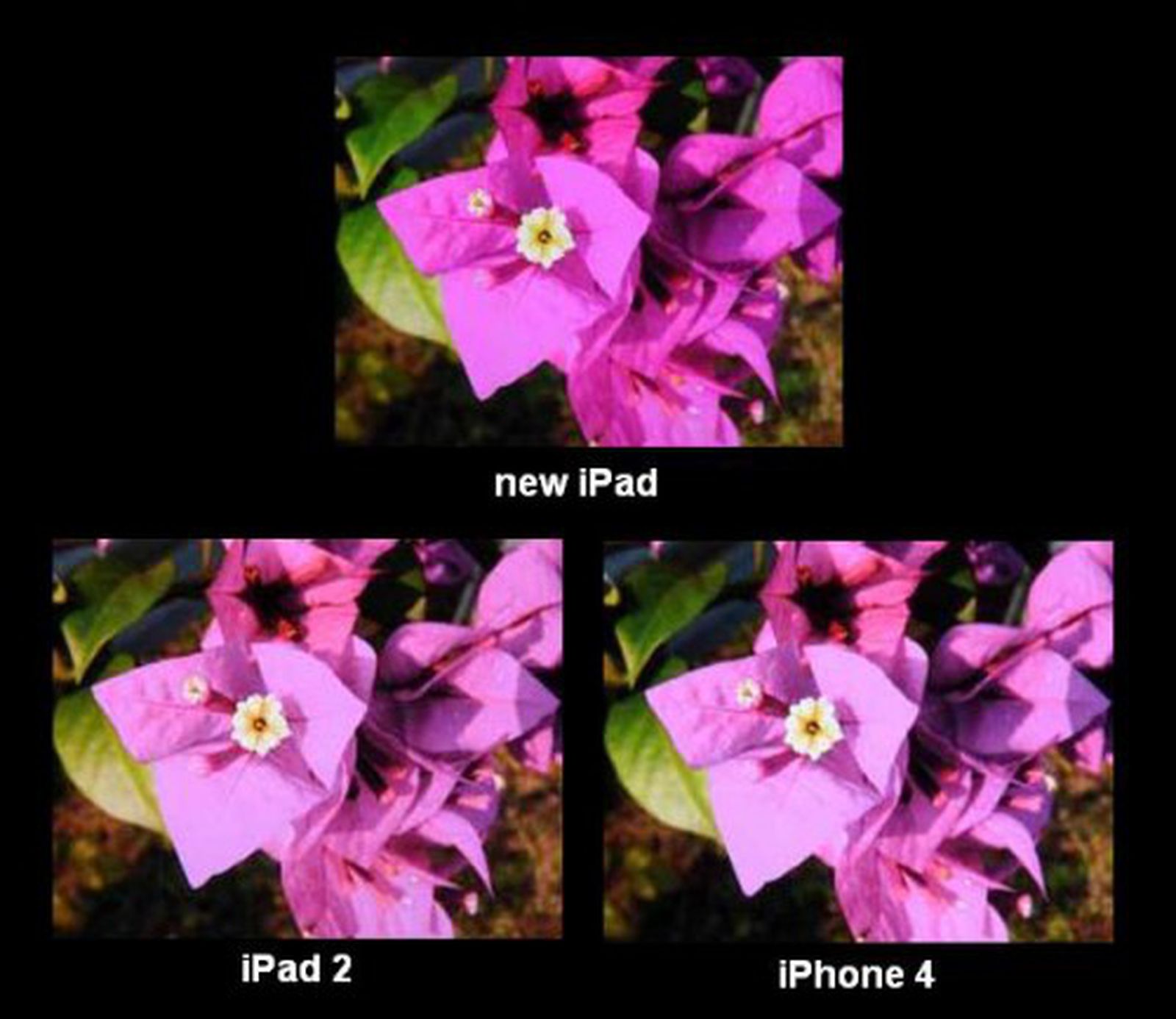 DisplayMate Praises New iPad Screen Sharpness and Color - MacRumors