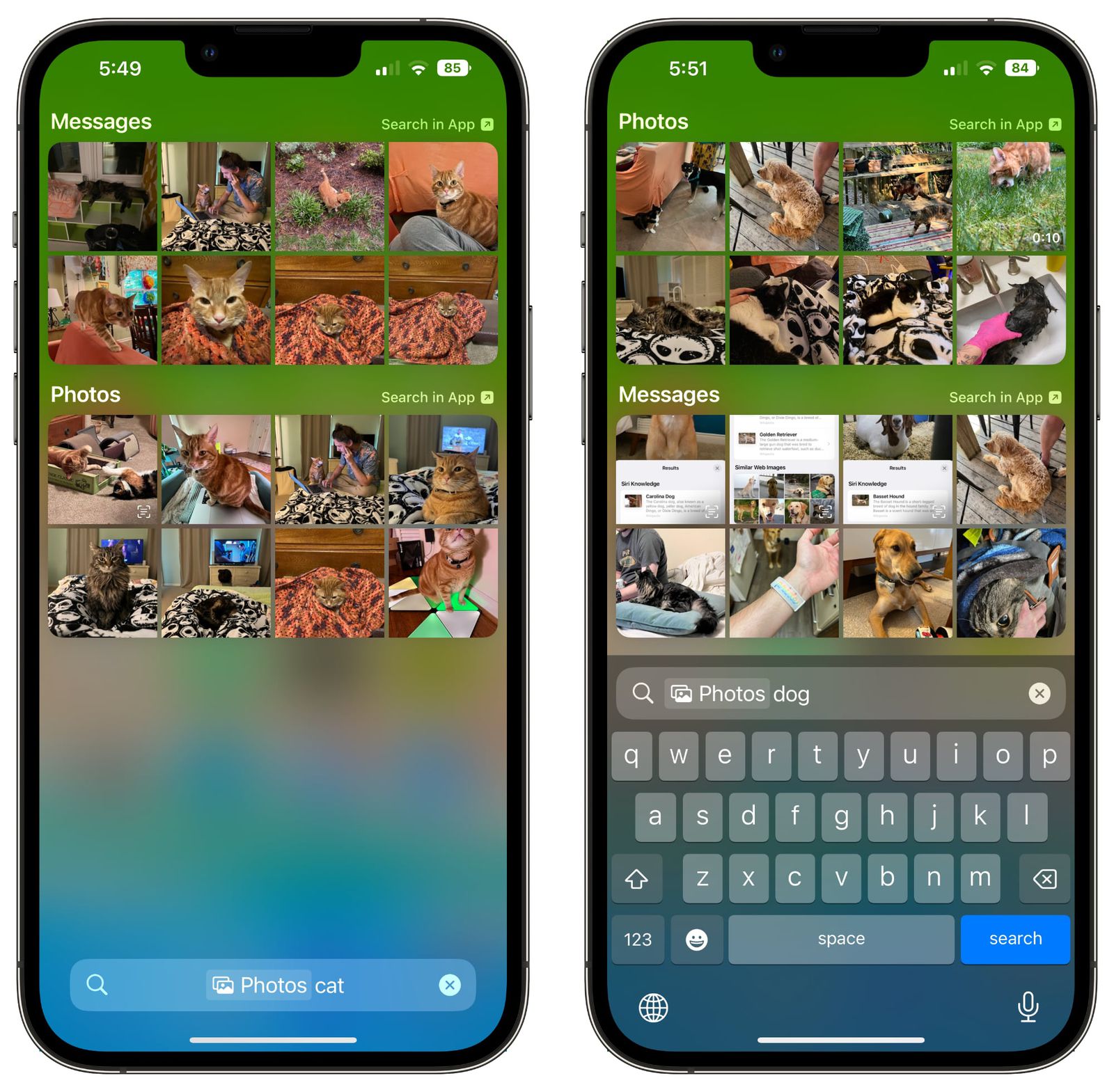 Everything New With Spotlight Search in iOS 16 - MacRumors