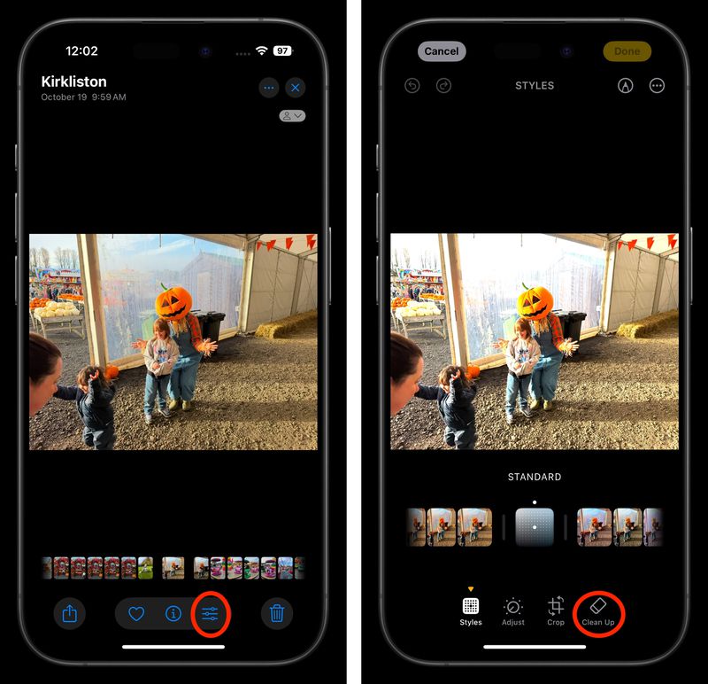 iOS 18.1: Remove Unwanted Objects From Your Photos - MacRumors