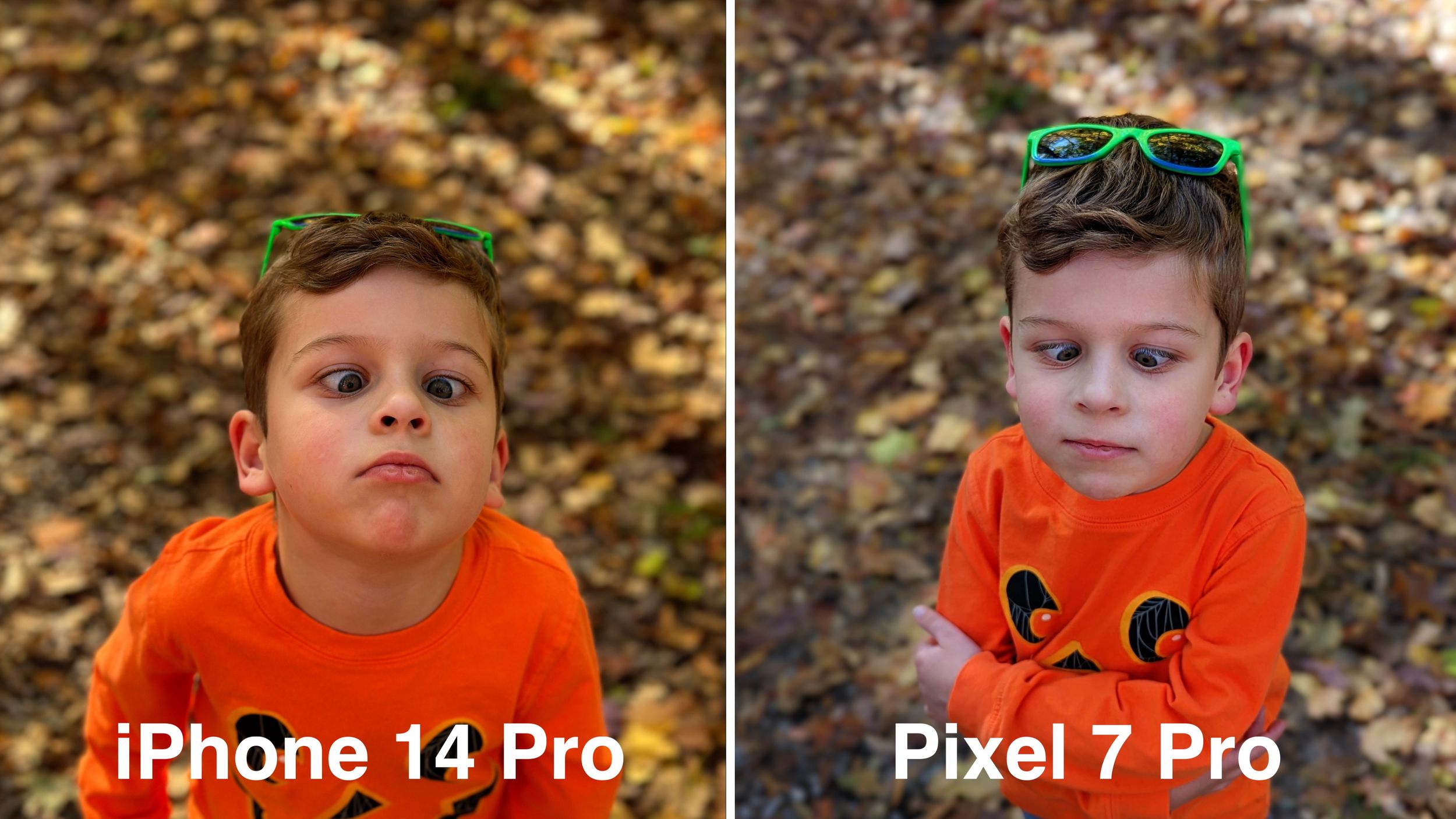 Camera Comparison: Pixel 7 Pro vs. iPhone 14 Pro Max - MacRumors