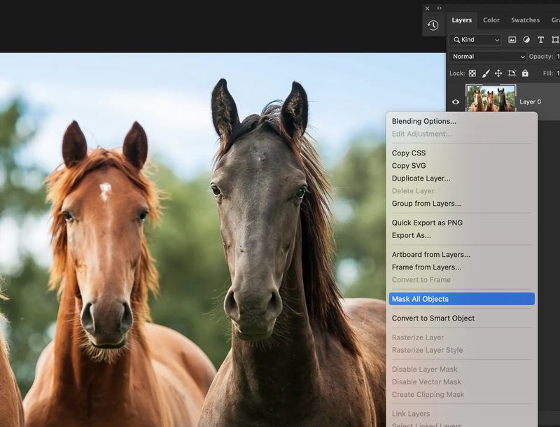 Adobe Releases New Features for Creative Cloud Apps as Adobe MAX 2021 ...
