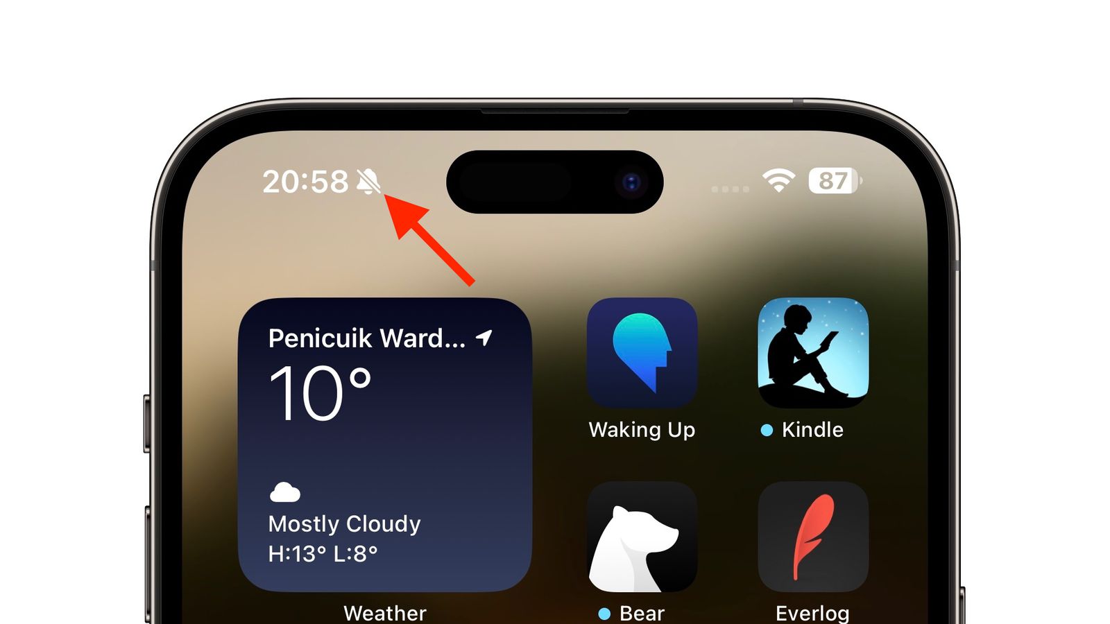 iPhone 16: Hide the Silent Mode Bell Icon in the Status Bar - MacRumors