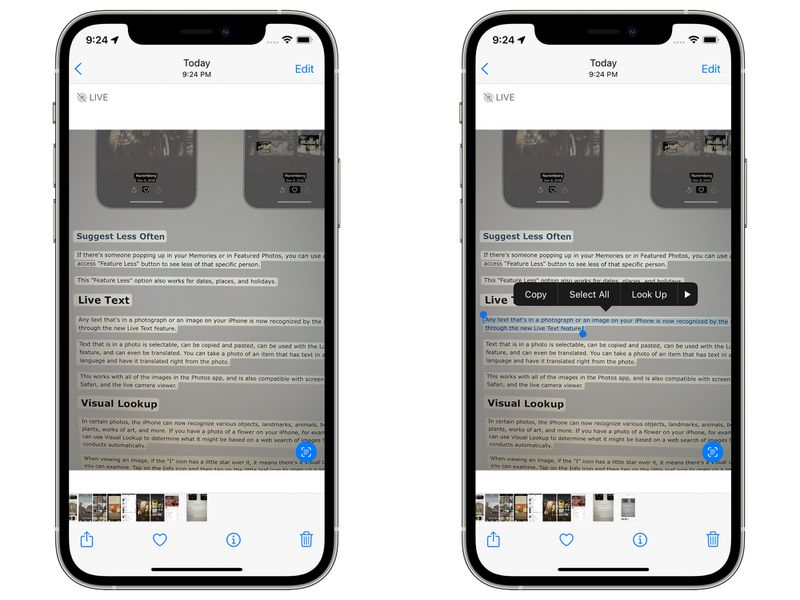 iOS 15 Photos Guide: Features, Text Recognition, Changes - MacRumors