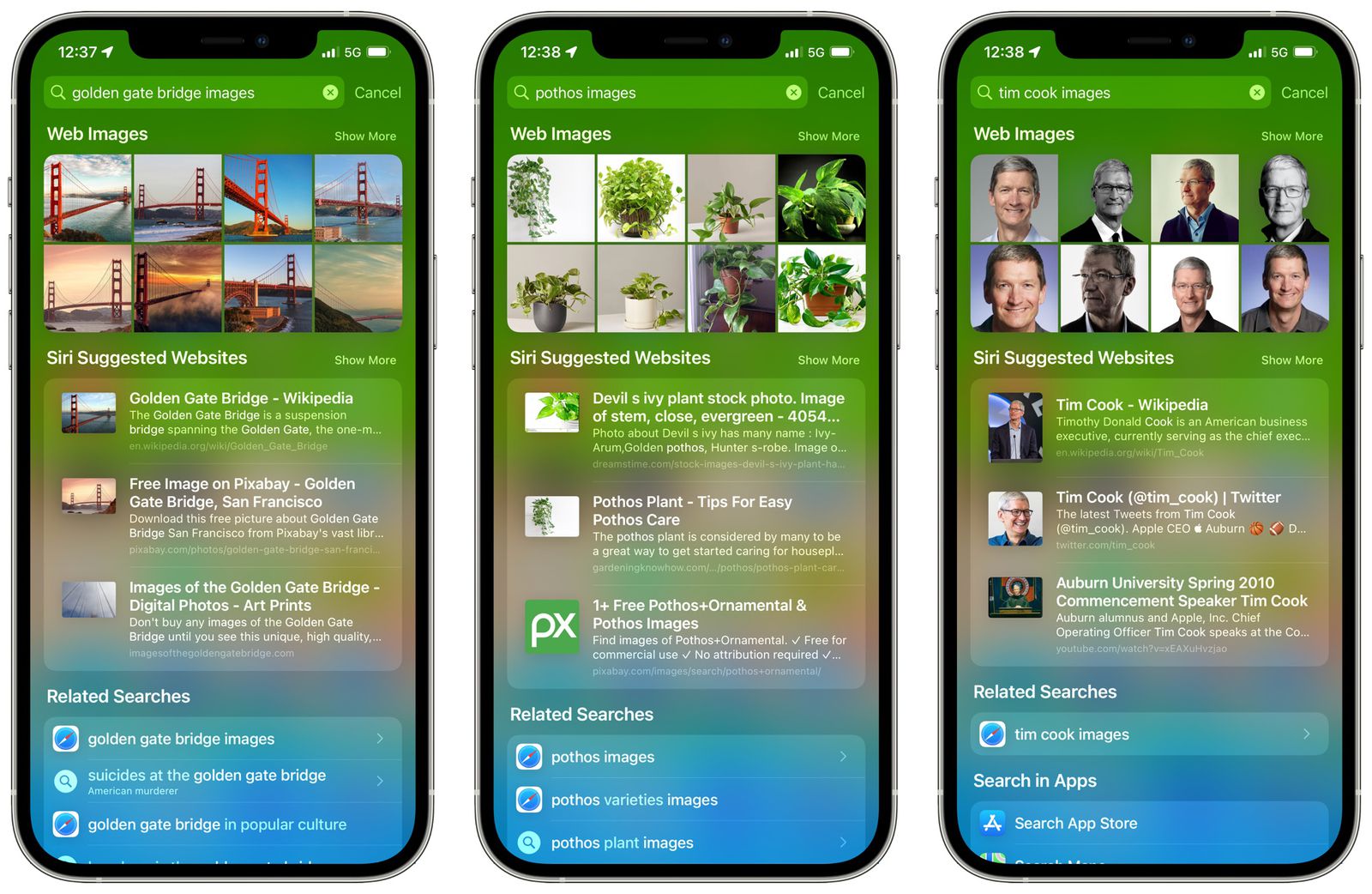 iOS 15 Spotlight Improvements: Rich Results, Web Images, Photos Search ...
