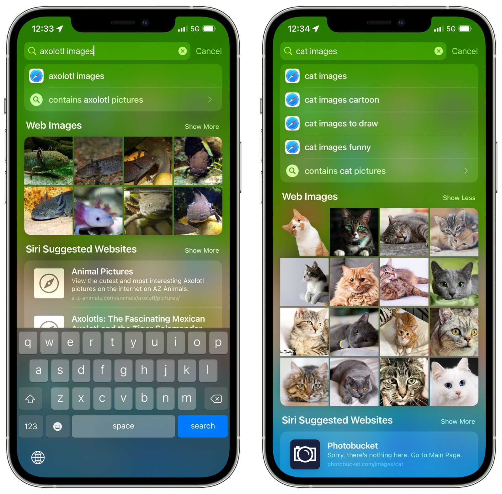 iOS 15 Spotlight Improvements: Rich Results, Web Images, Photos Search ...