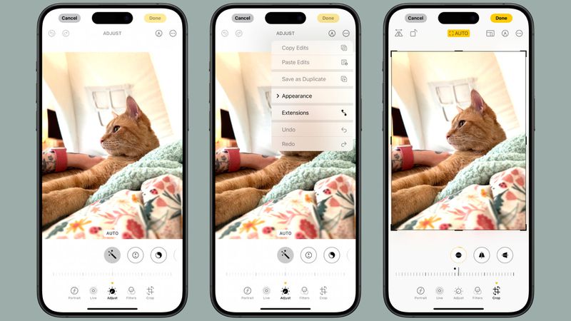 iOS 18 Photos App: All the New Features and Design Updates - MacRumors