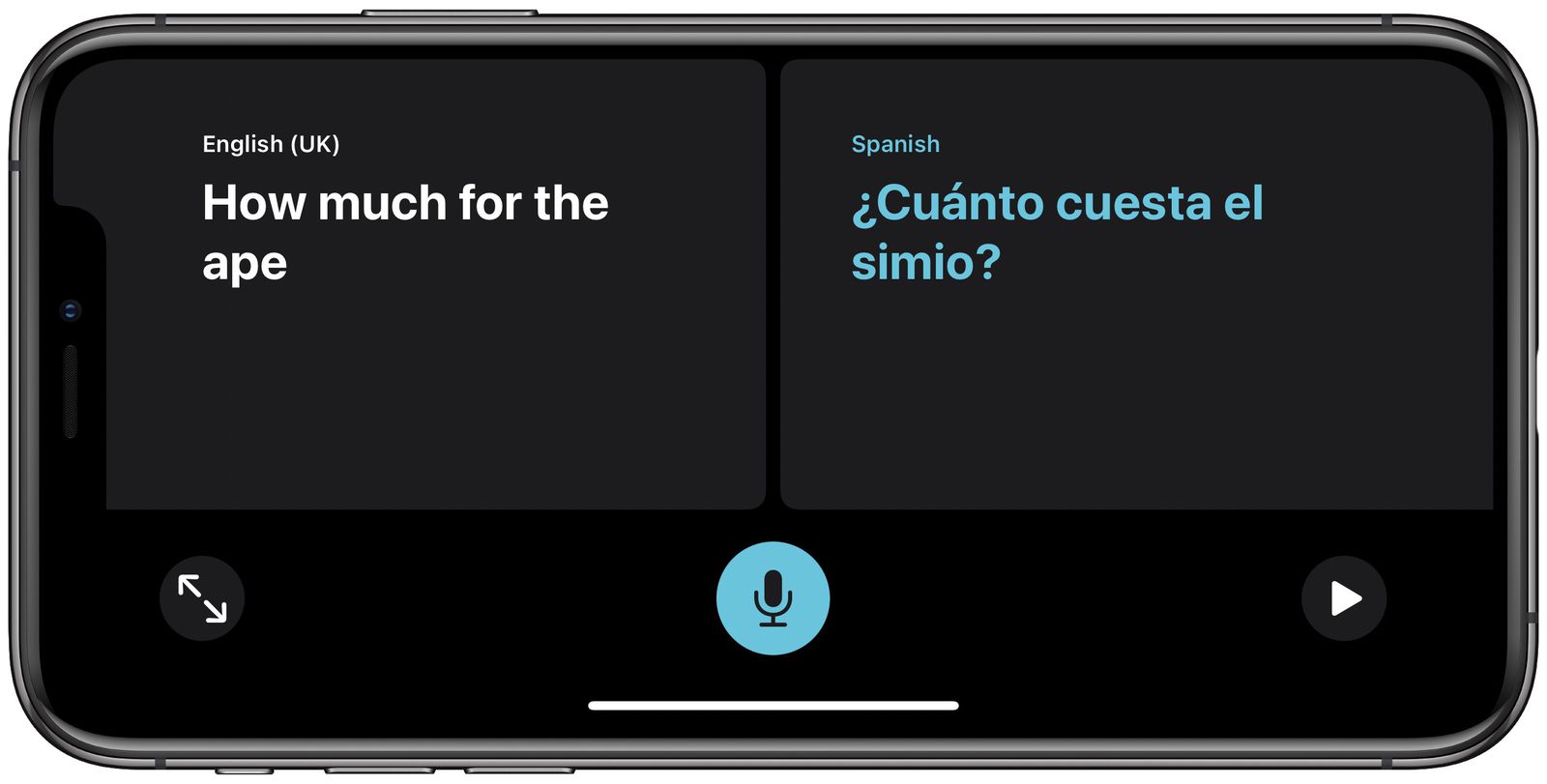 iOS 14: How to Use Conversation Mode in the Translate App - MacRumors