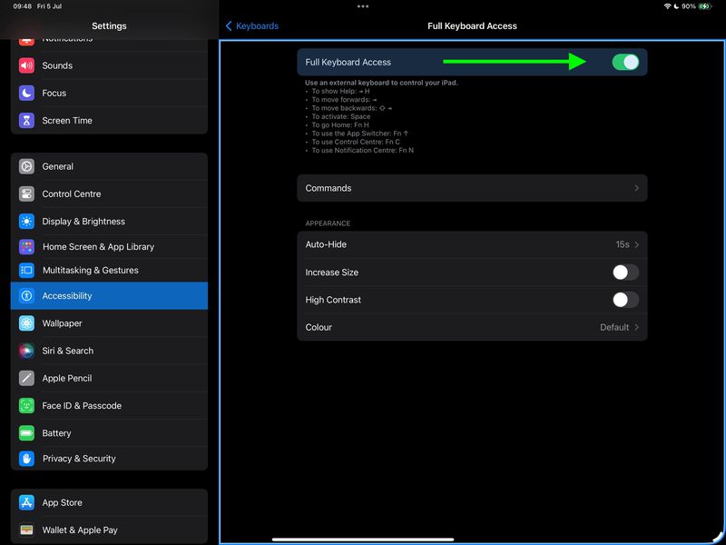 Blue Frames on iPad Screen? How to Fix - MacRumors