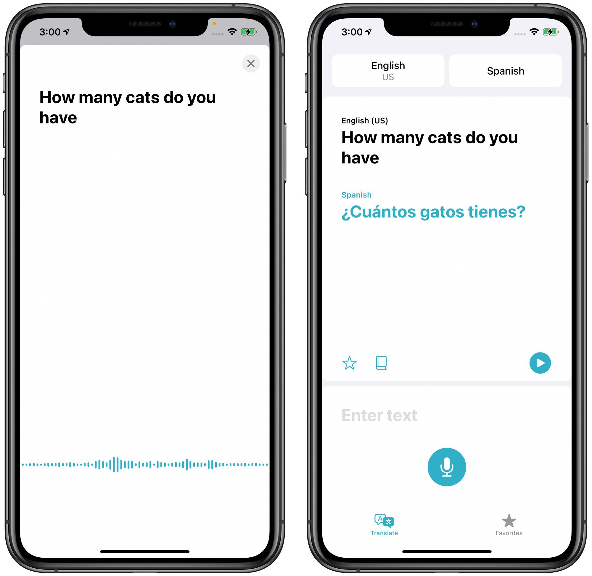iOS 14: Apple's Built-In iPhone Translate App That Works With 11 ...