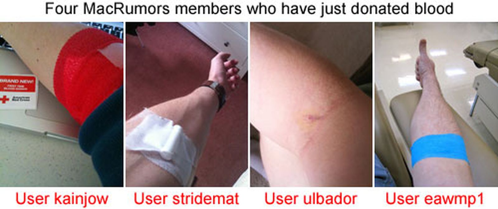 MacRumors 2011 Blood Drive - MacRumors